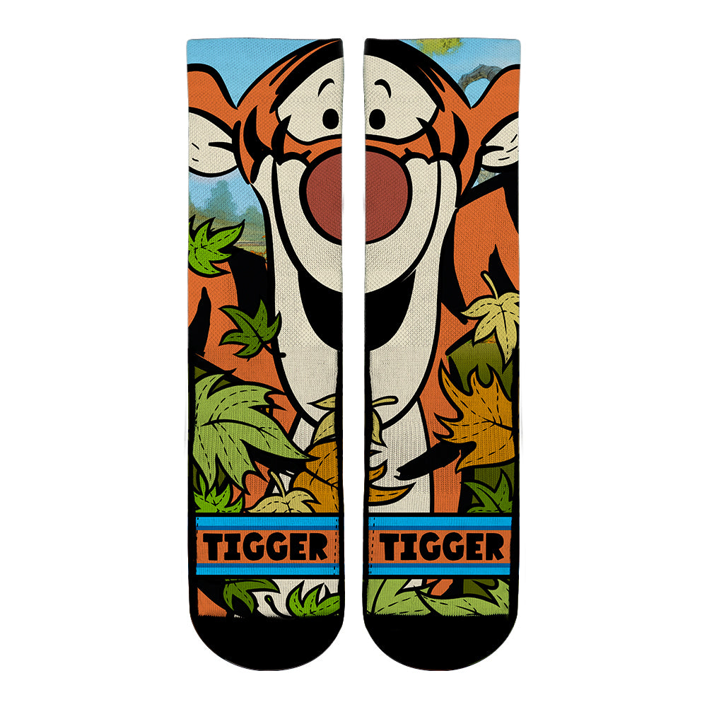 Winnie The Pooh Socks - Tigger Split Face Socks - Rock 'Em Socks
